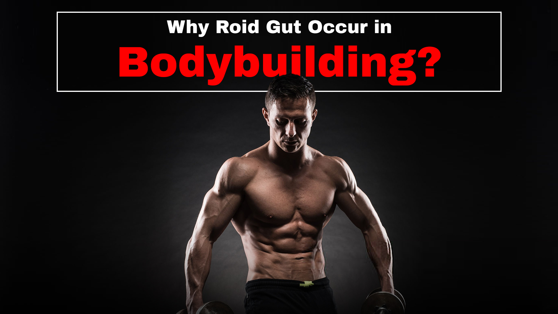 Why Roid Gut Occur in Bodybuilding? | Finest Gears