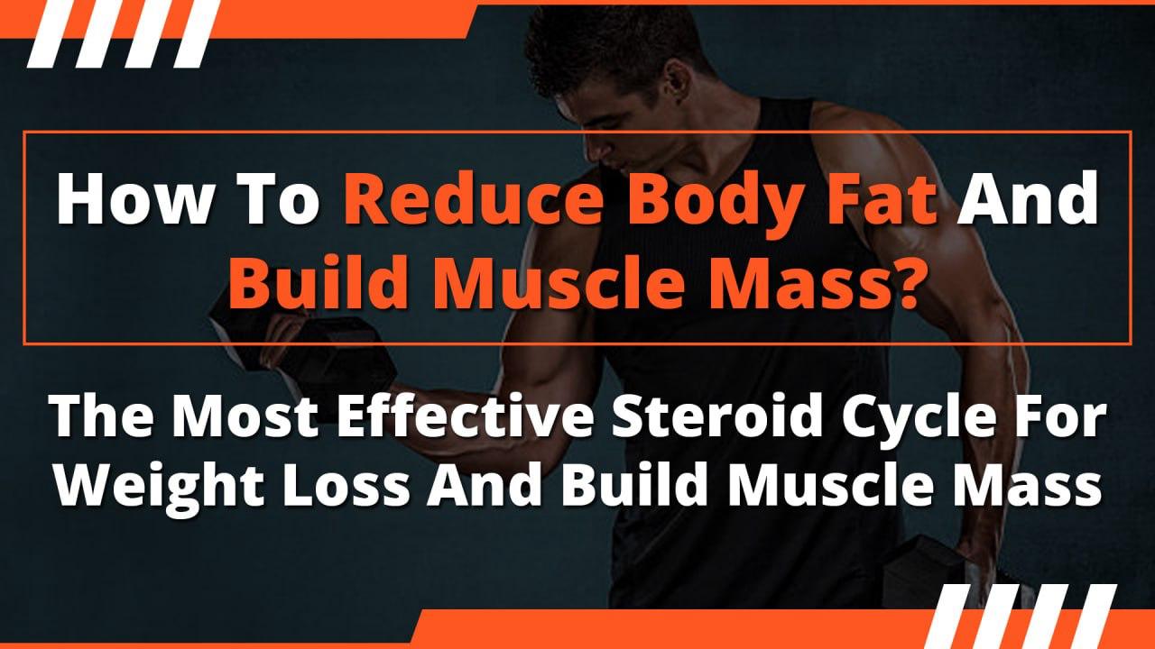 How to Reduce Body Fat and Build Muscle Mass: The Most Effective ...